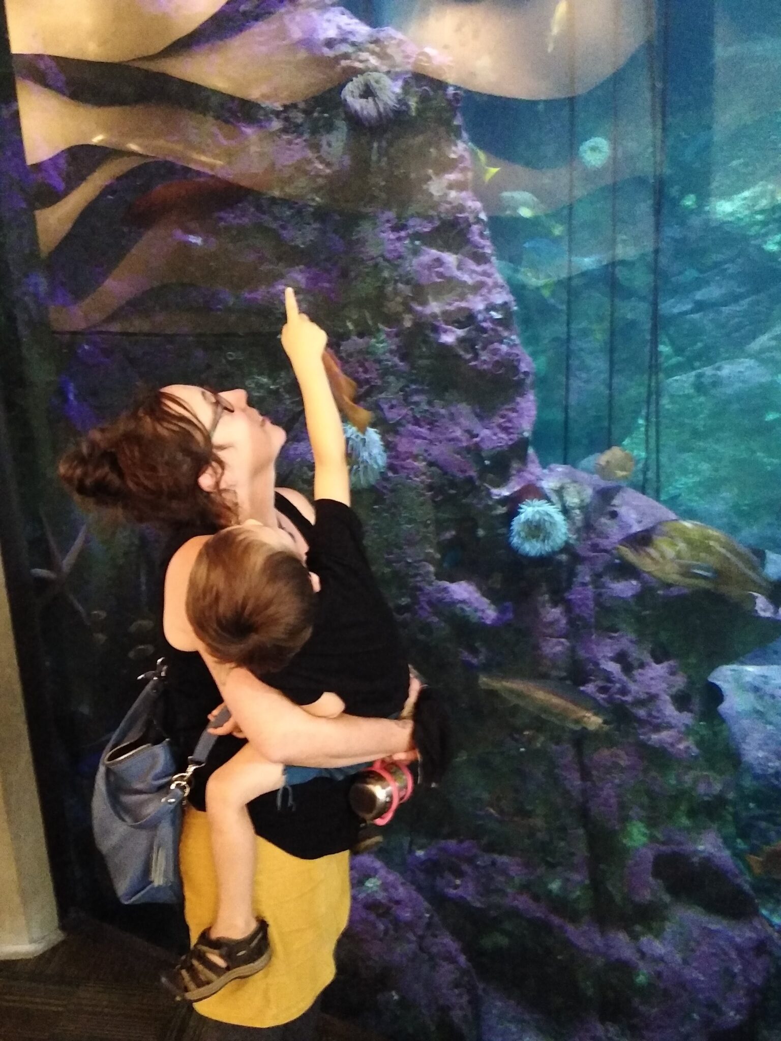 Staff - Explorations Academy